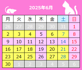 NOKOTECH｜Windows・Mac 個人レッスンのパソコン教室